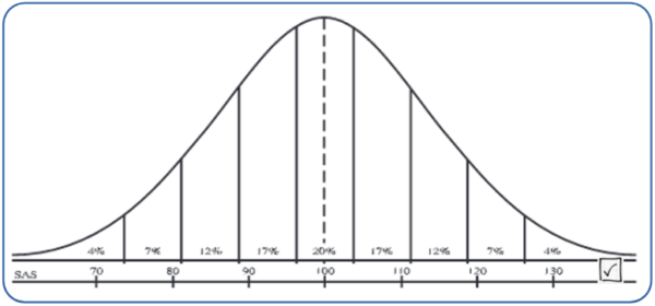 SEAG Scoring – TransferReady.co.uk